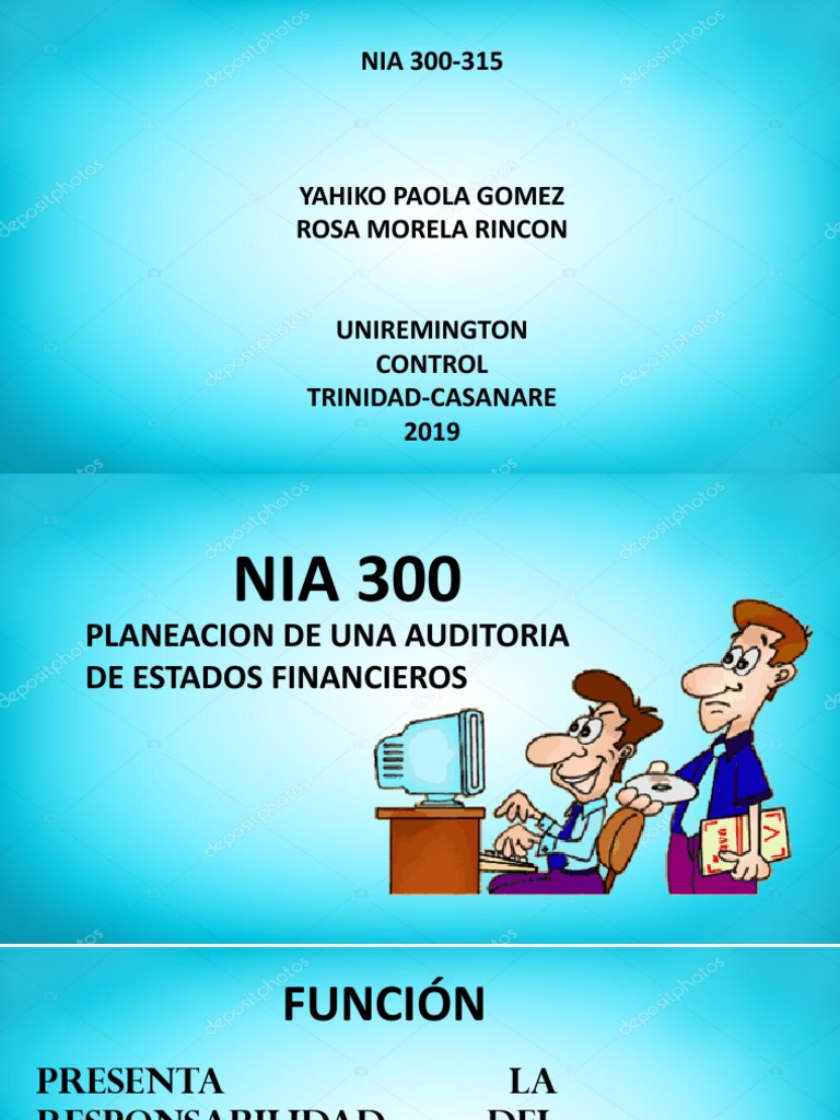 NIA 300-315 | Auditoría | Planificación | Prueba gratuita de 30 días | Scribd