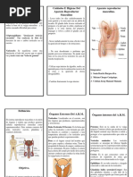 PROCEDIMIENTO PARA LA REALIZACI+ôN DEL EXAMEN DE RX DE SACRO COXIS ...