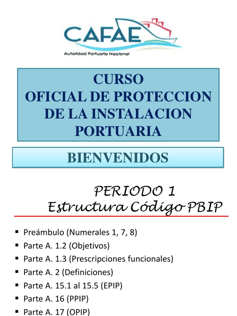 Curso Opip | PDF | Vulnerabilidad | Planificación