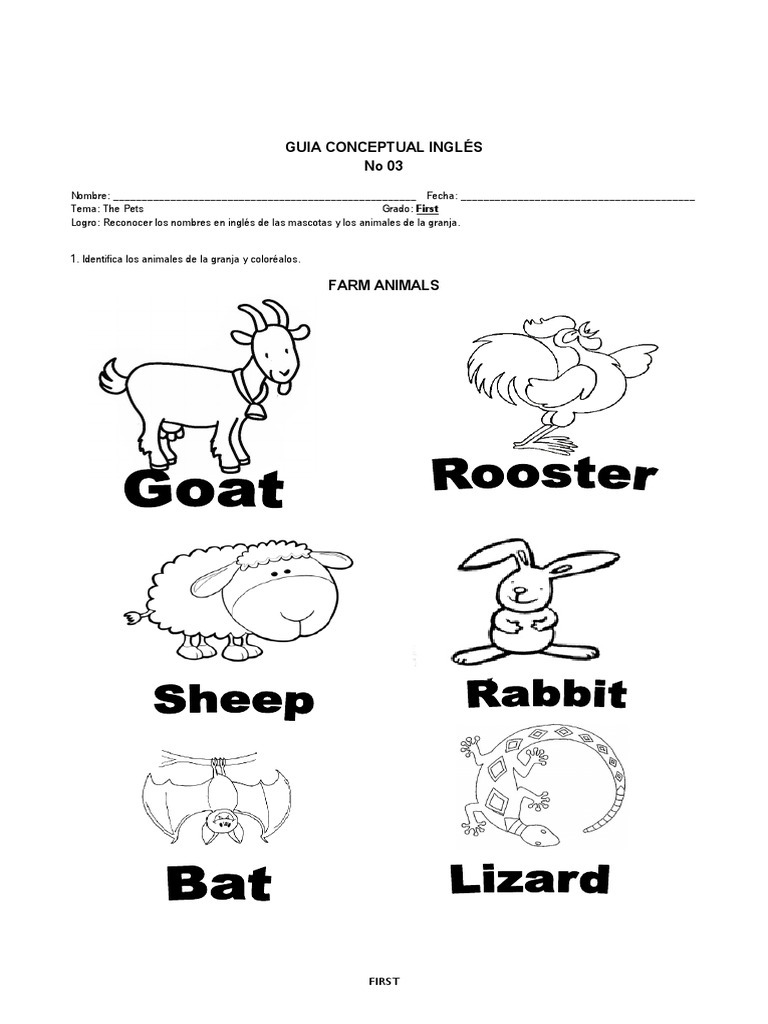 Guia No 3 Primero Animales en Inglés | PDF
