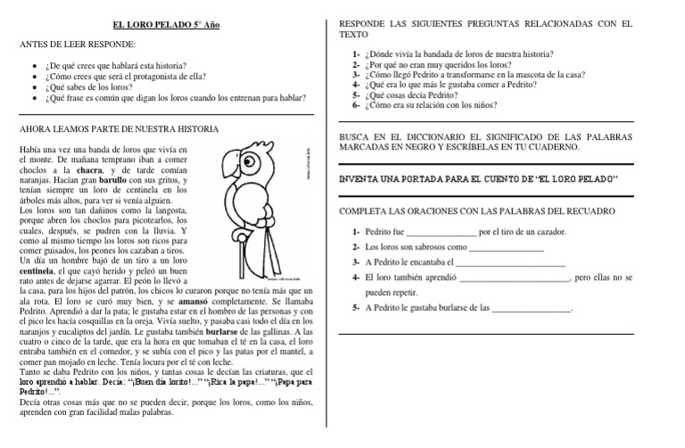 GuIa de ComprensiOn Lectora 3º ANo El Loro Pelado | PDF