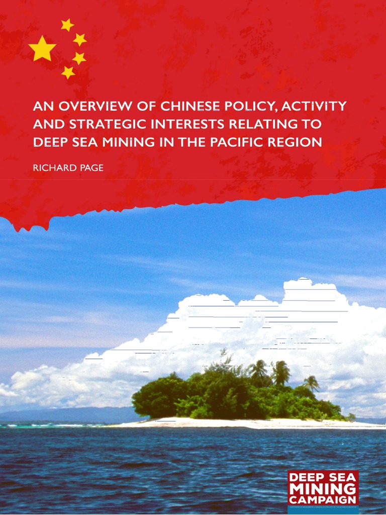 China-Report FINAL - En.id | PDF