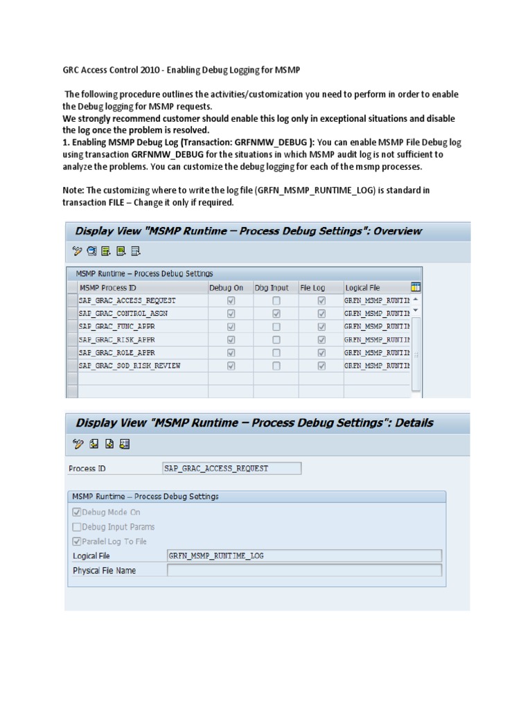 Debug Logging MSMP | PDF