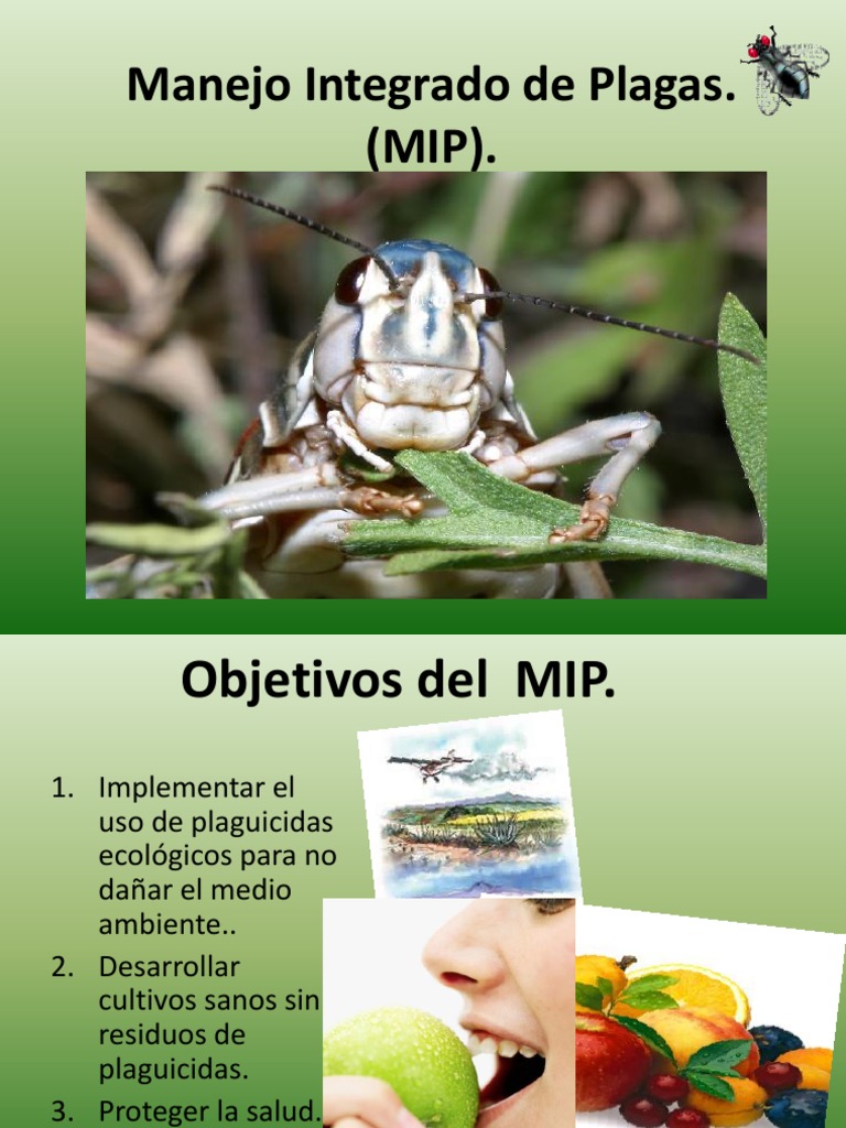 .Manejo Integrado de Plagas. UVG | PDF | Pesticida | Plaga (organismo)