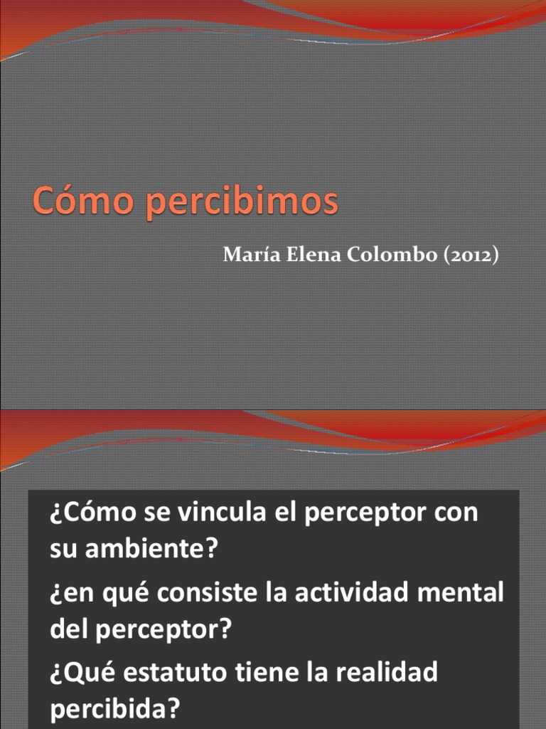 Cómo Percibimos T N Stasiejko | PDF | Percepción | Cerebro