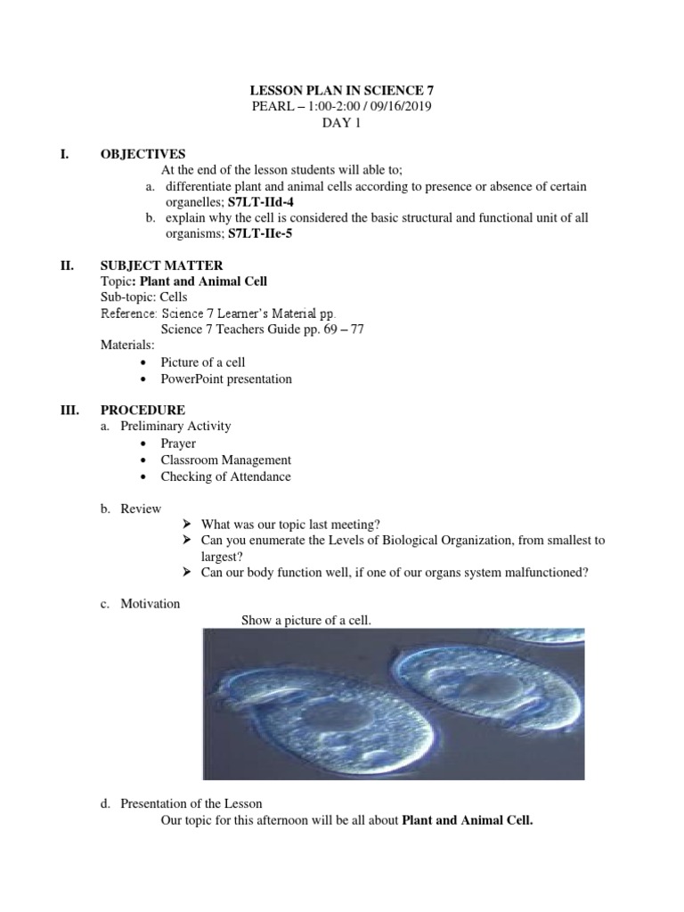 Lesson Plan in Science 7 Plant and Animal Cell d1 | PDF | Cell (Biology ...