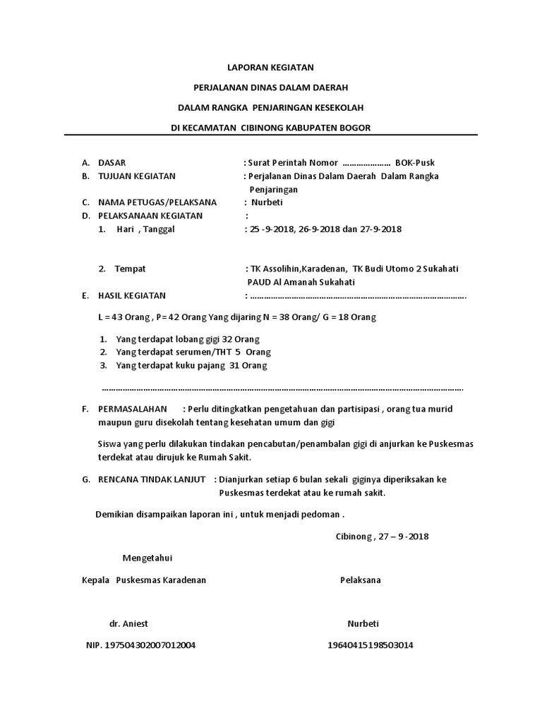 Laporan Kegiatan SPPD | PDF