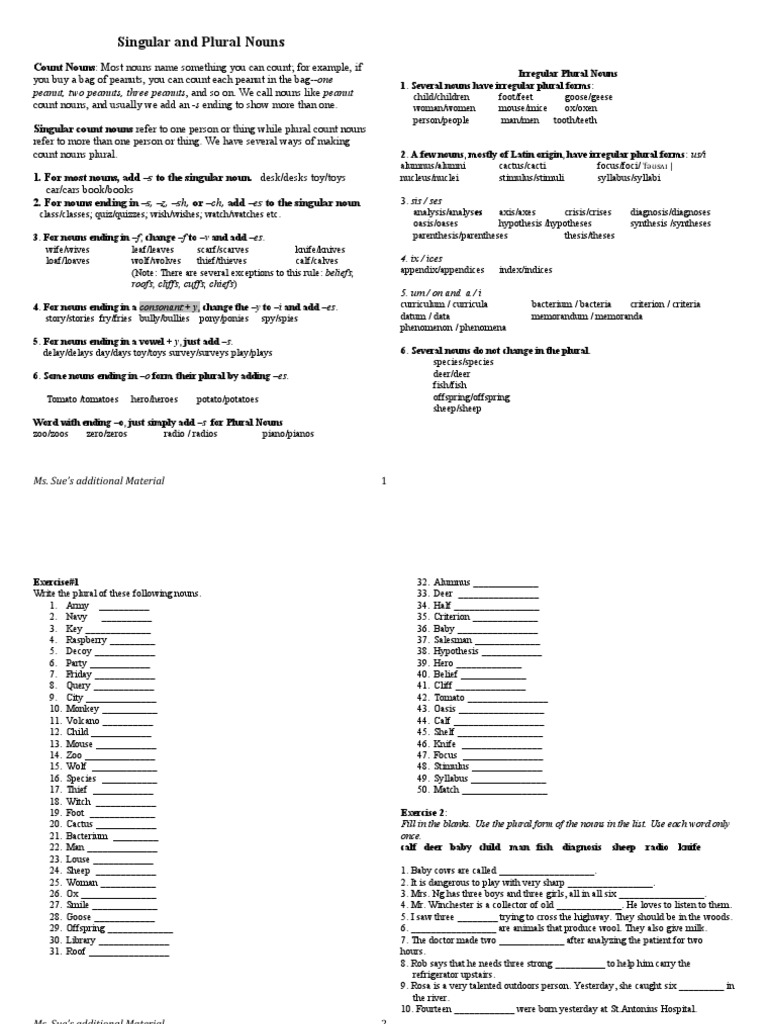 Homework - Singular & Plural Noun PDF | PDF
