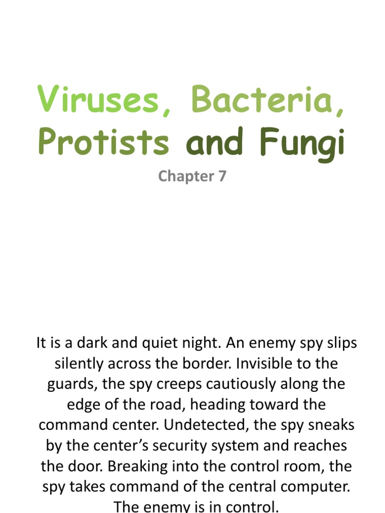 Unit 7 - Viruses Bacteria Protists and Fungi | PDF | Virus | Fungus