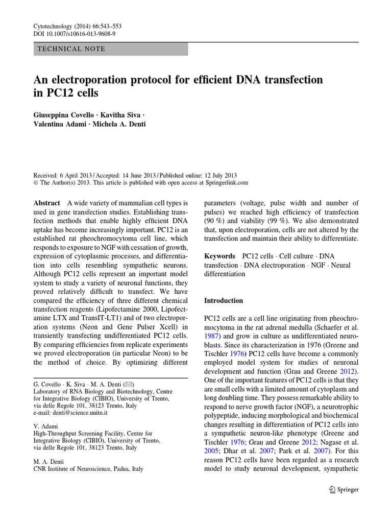 An Efficient Electroporation Protocol for DNA Transfection in PC12 ...