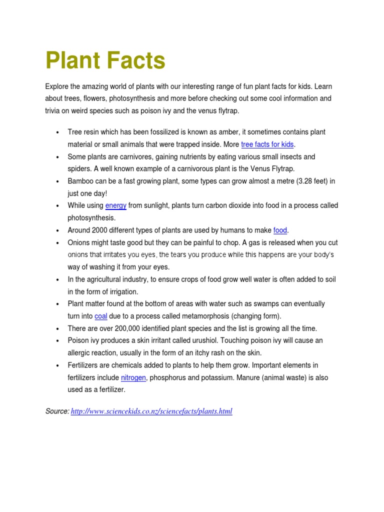 Plant Facts: Tree Facts For Kids | PDF | Plants | Trees