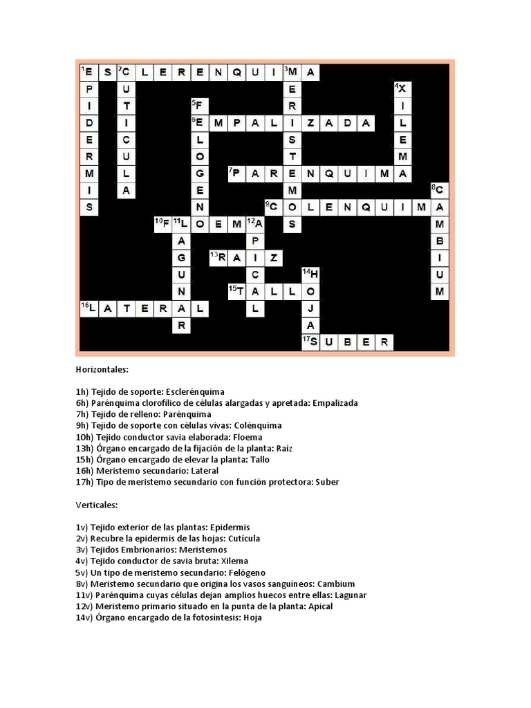 Horizontales Crucigrama Resuelto | PDF