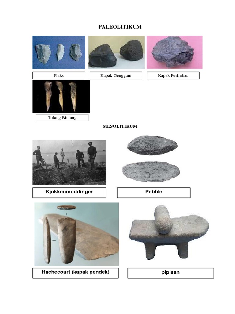 PALEOLITIKUM | PDF