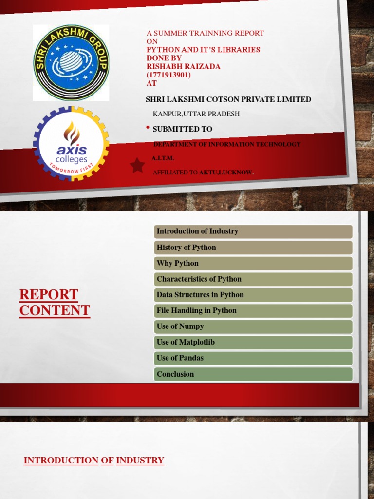 A Summer Trainning Report | Download Free PDF | Python (Programming ...