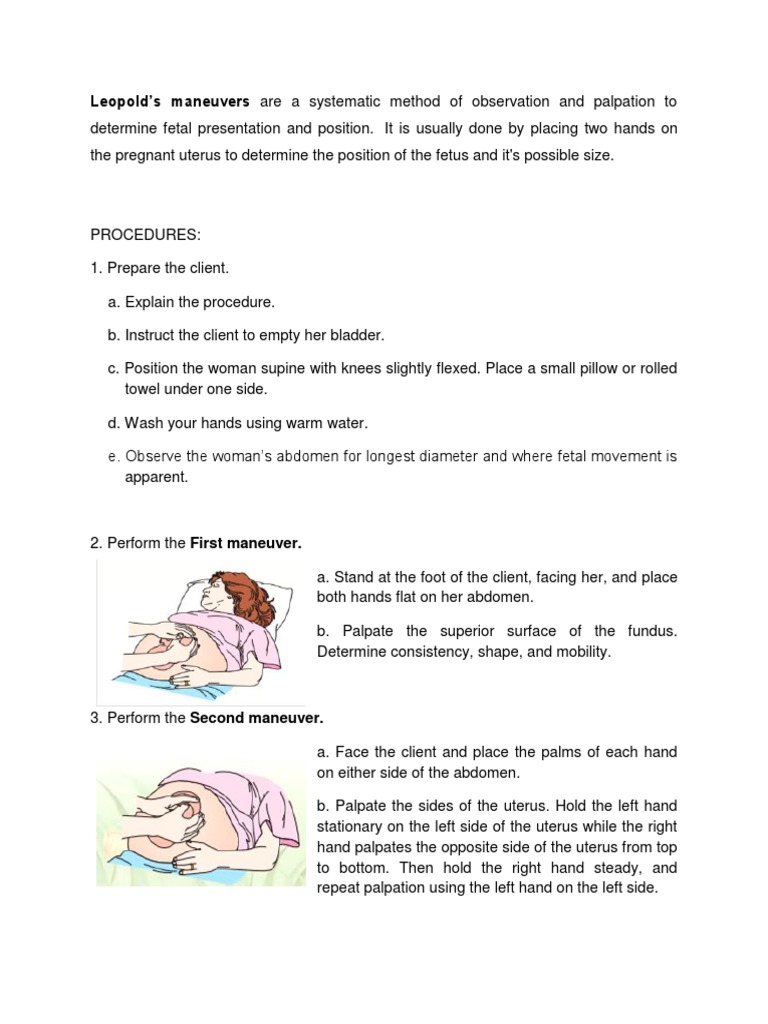 Leopold Maneuver | PDF | Human Reproduction