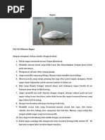 10 Contoh Surat Masuk | PDF