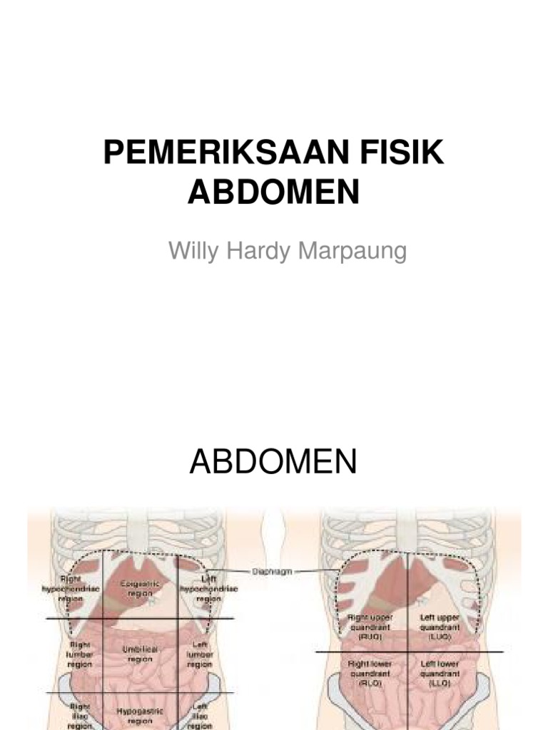 Pemeriksaan Fisik Abdomen | PDF