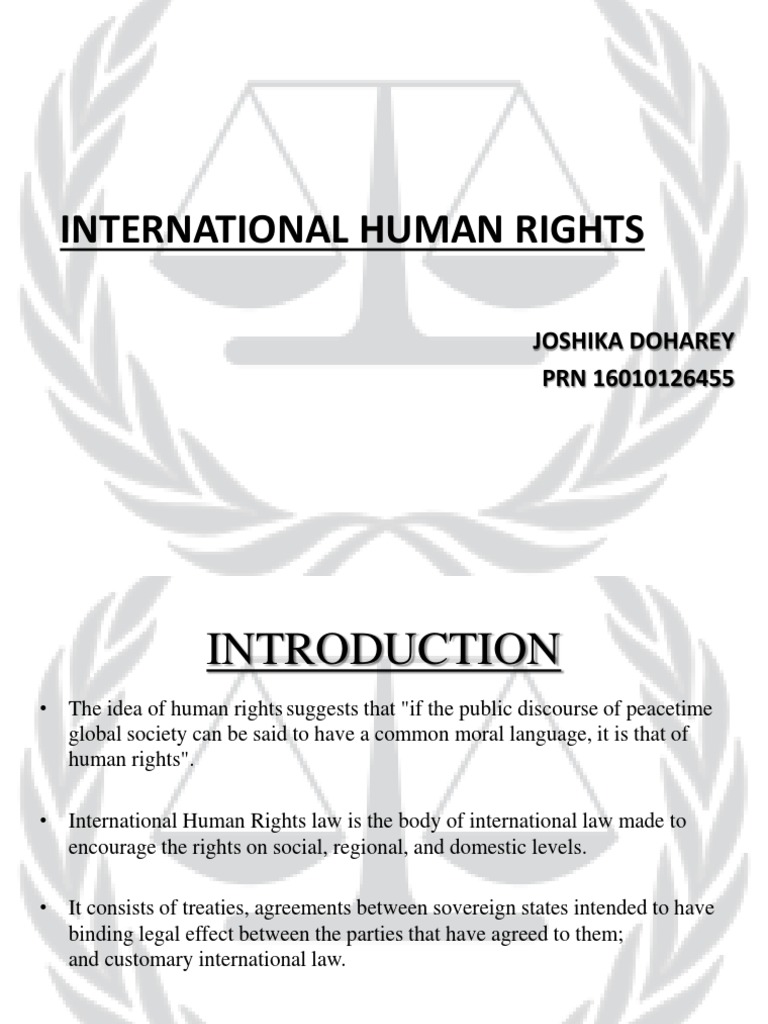 International Human Rights | PDF | International Human Rights Law ...
