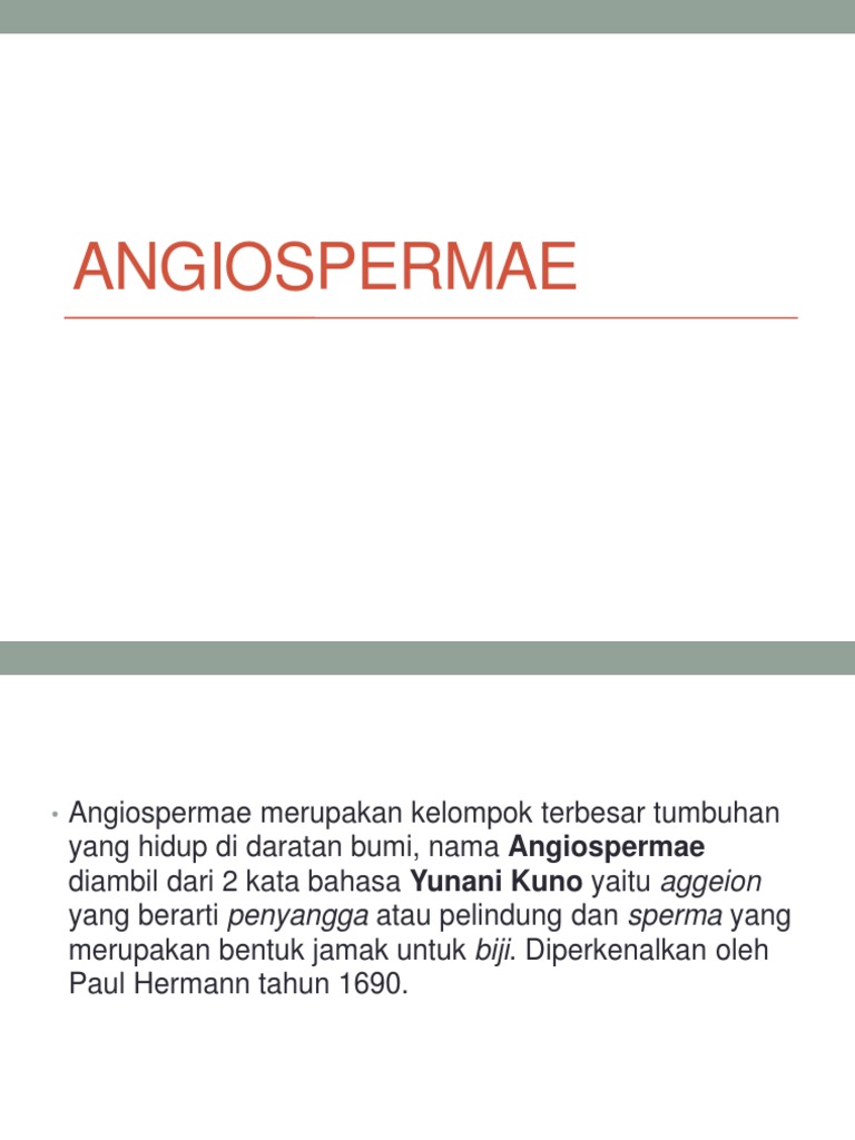 Ciri dan Klasifikasi Angiospermae | PDF