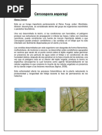 Fenologia de La Cebada | PDF | Cebada | Agricultura