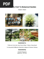 Botany Field Visit Report Class 12 | PDF | Botany | Gardens