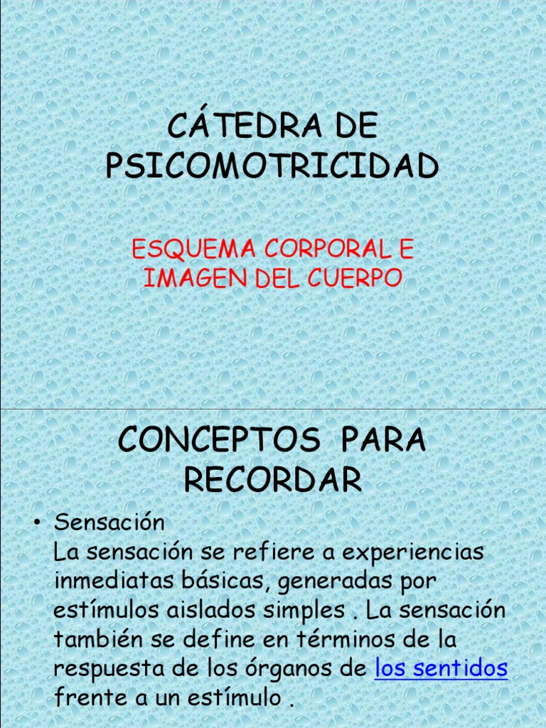 Esquema Corporal | PDF | Percepción | Neurociencia