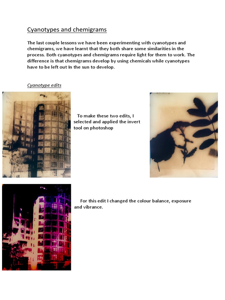 Cyanotypes and Chemigrams | PDF
