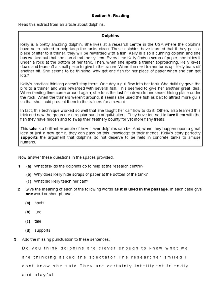 English Practice Paper 1 | PDF | Dolphin | Cetacea