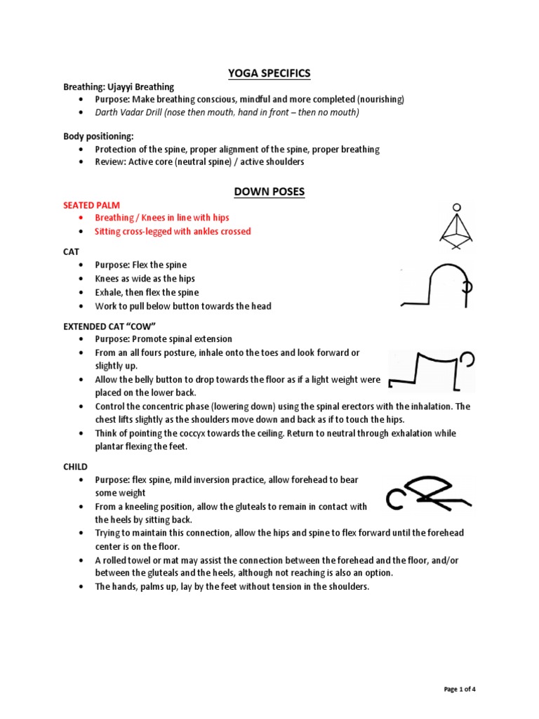 Yoga Test | Download Free PDF | Anatomical Terms Of Motion | Foot