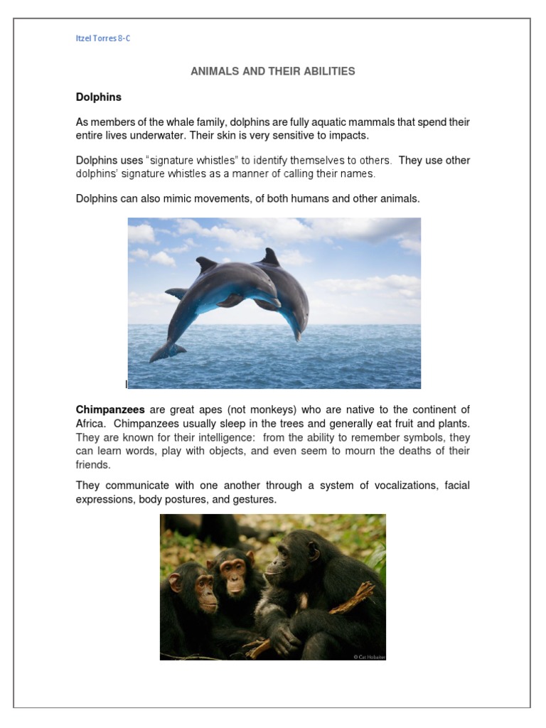 Animals and Their Abilities | PDF