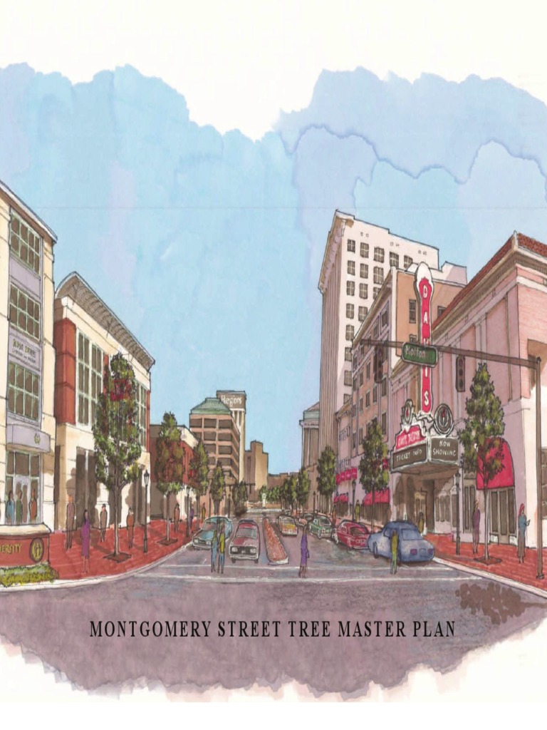 Street Tree Masterplan | PDF | Pruning | Street