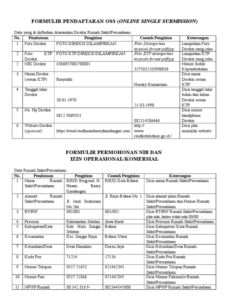 Formulir Pendaftaran Oss (Online Single Submission) : No. Pendataan ...