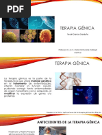 ESCALA DE ARMSTRONG (Todas Las Cat) | PDF