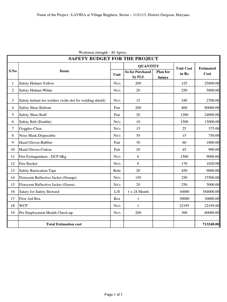 Safety Budget For The Project: So Far Purchased by FLS | PDF ...
