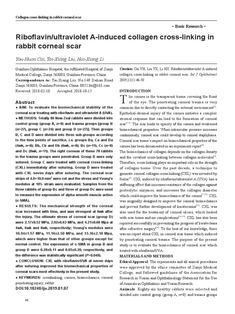 Riboflavin/ultraviolet A-Induced Collagen Cross-Linking in Rabbit ...