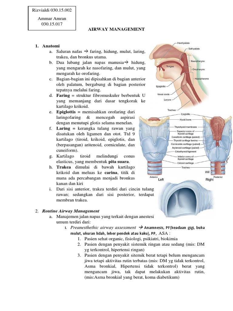 Airway Management | PDF