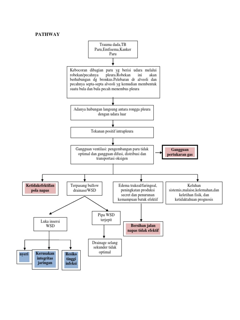 Pathway Penyakit Empiema Paru | PDF