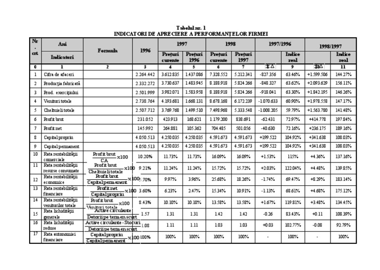 Tabel Indicatori Performanta | PDF