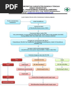 Carta Prediksi Risiko Who Menggunakan Hasil Lab | PDF