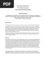 PCP II Decrees | PDF | Laity | Catholic Church