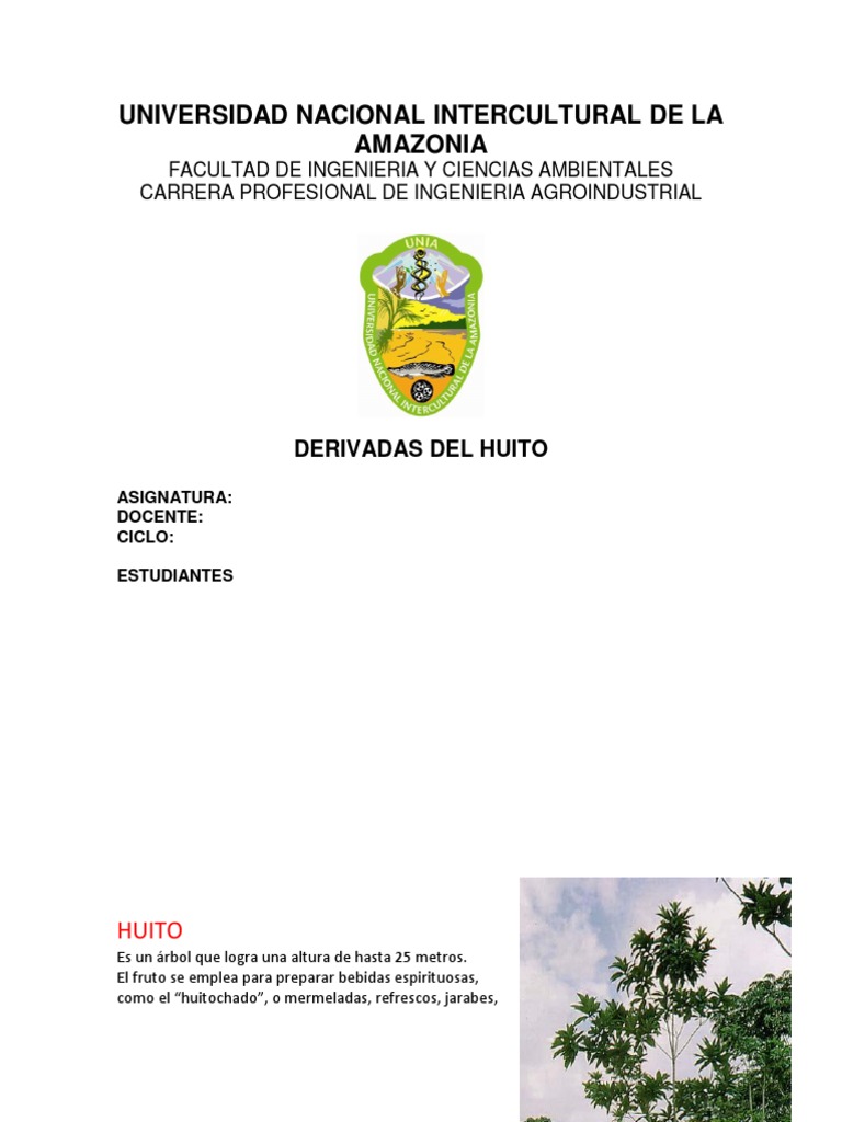 Derivados del huito (Genipa americana): propiedades, usos y valor ...