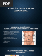 Sigmoidectomía Laparoscópica: Técnica y Equipo | PDF | Intestino grueso ...