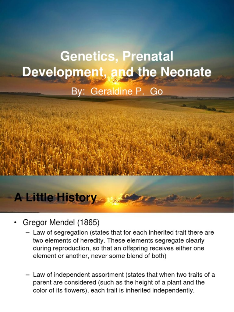 Genetics, Prenatal Development, and The Neonate: By: Geraldine P. Go ...