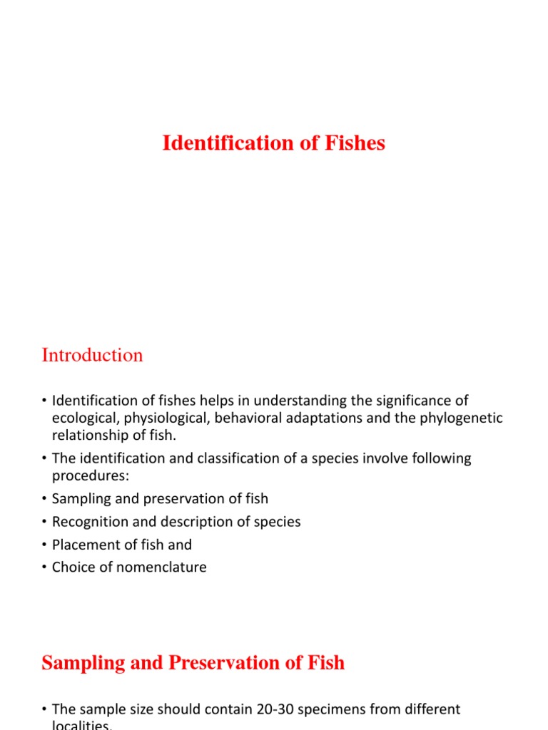 Identification of Fishes | PDF | Taxonomy (Biology) | Species