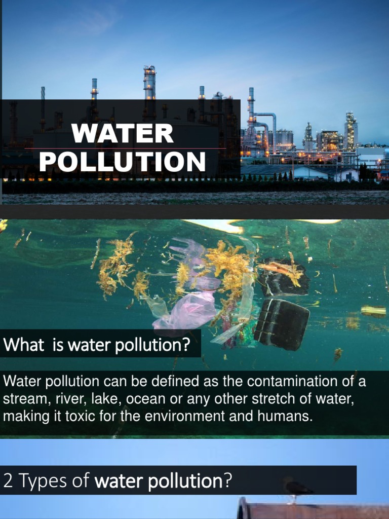 Water Pollution | PDF | Water Pollution | Wastewater