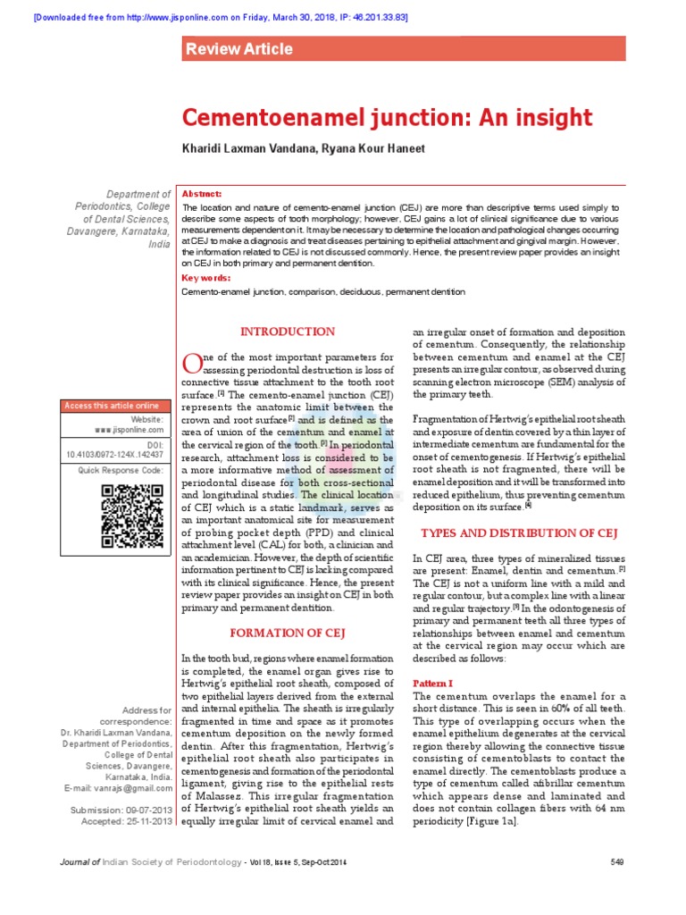 Cementoenamel Junction An Insight | PDF | Human Tooth | Tooth Enamel