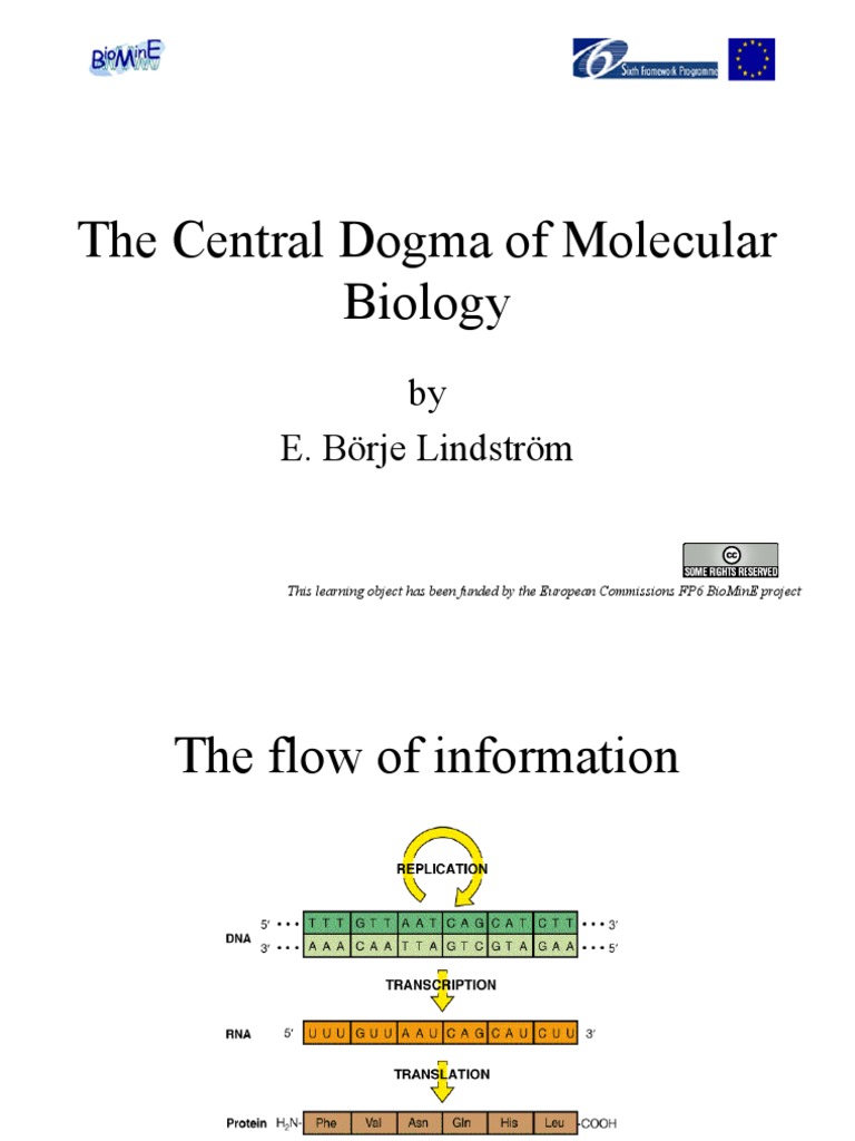 The Central Dogma of Molecular Biology | PDF | Dna | Dna Replication