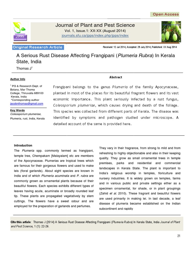 A Serious Rust Disease Affecting Frangipani - Plumeria Rubra - in ...
