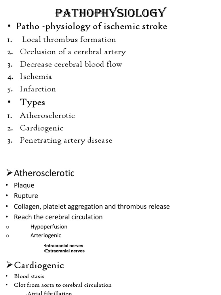Ischemic Stroke Pathophysiology Overview | PDF