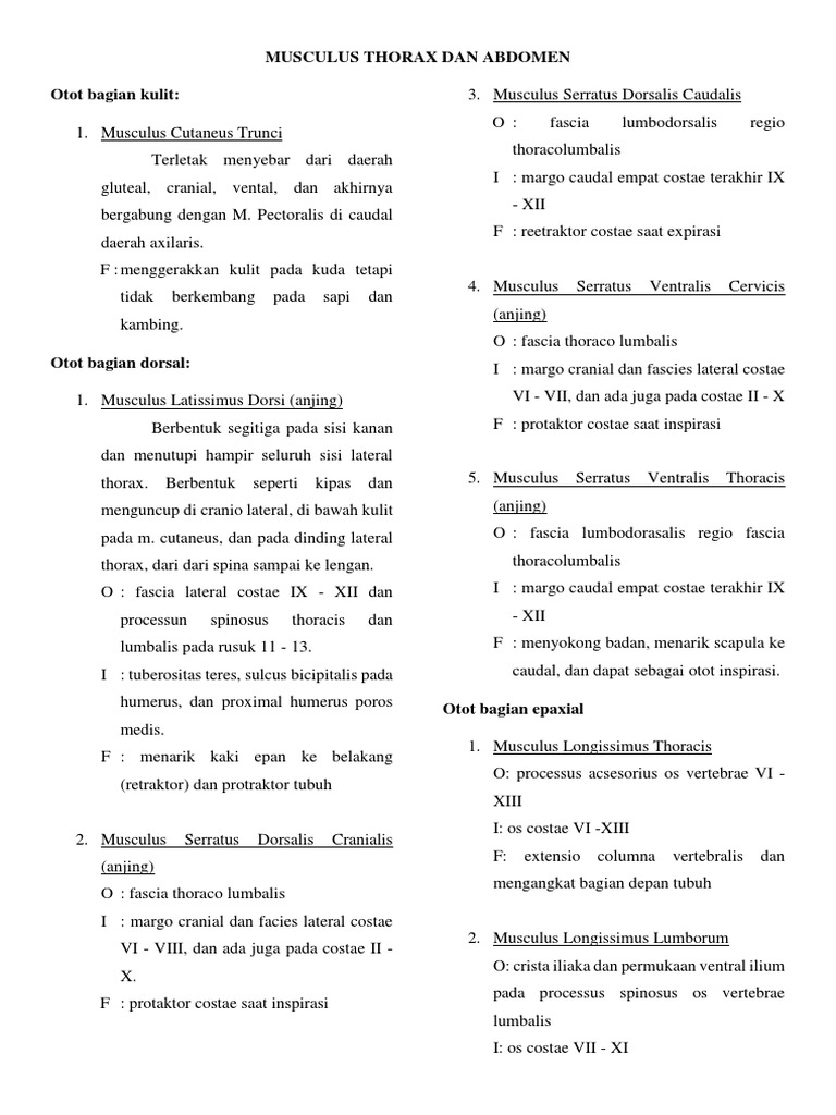 Insertio, Origo Dan Fungsi | PDF